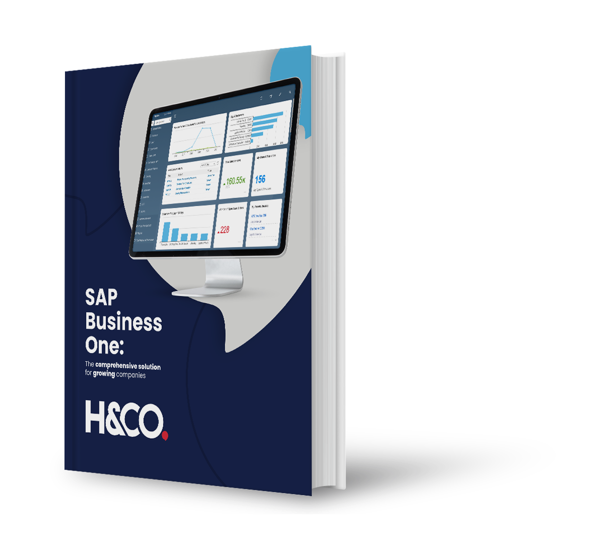 Softwares de H&CO - H&CO | Global Advisors