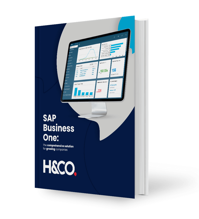 H&CO LLP - Consultores em Expansão Global