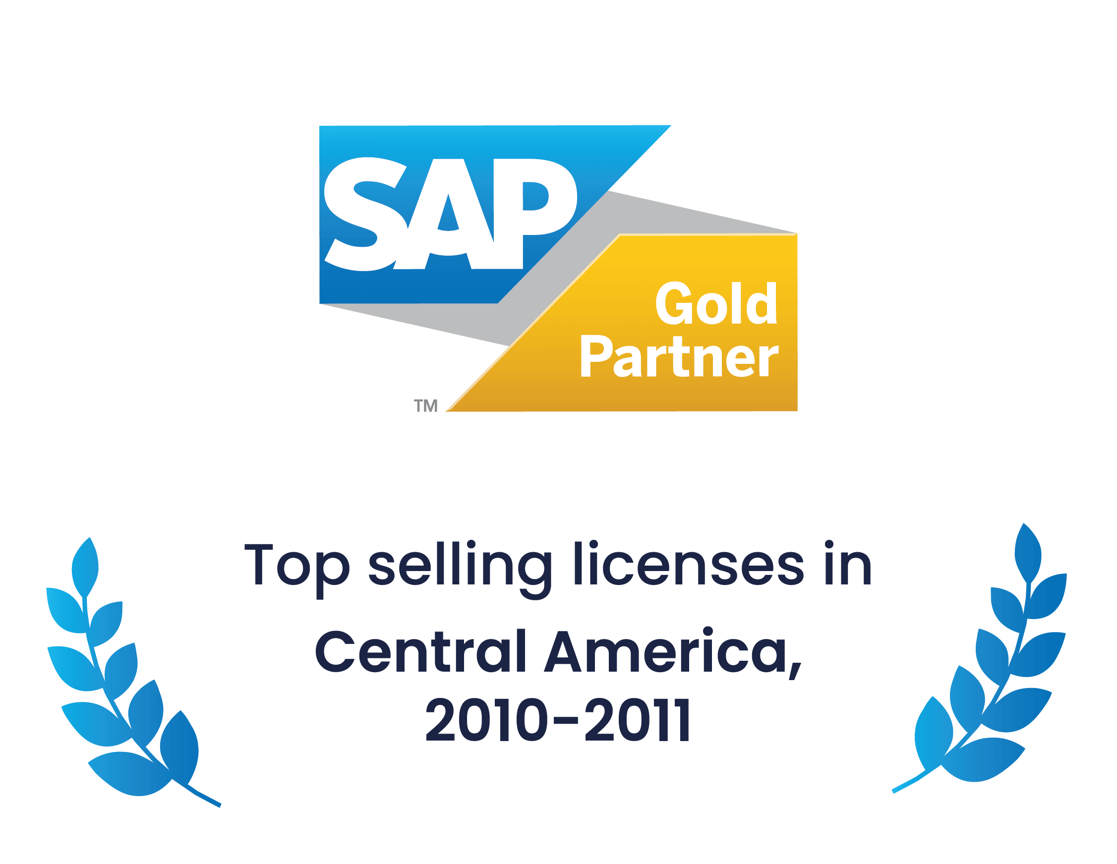 SAP Business One - H&CO