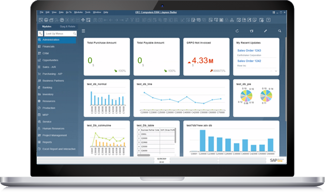 SAP Business One - H&CO Global Advisors